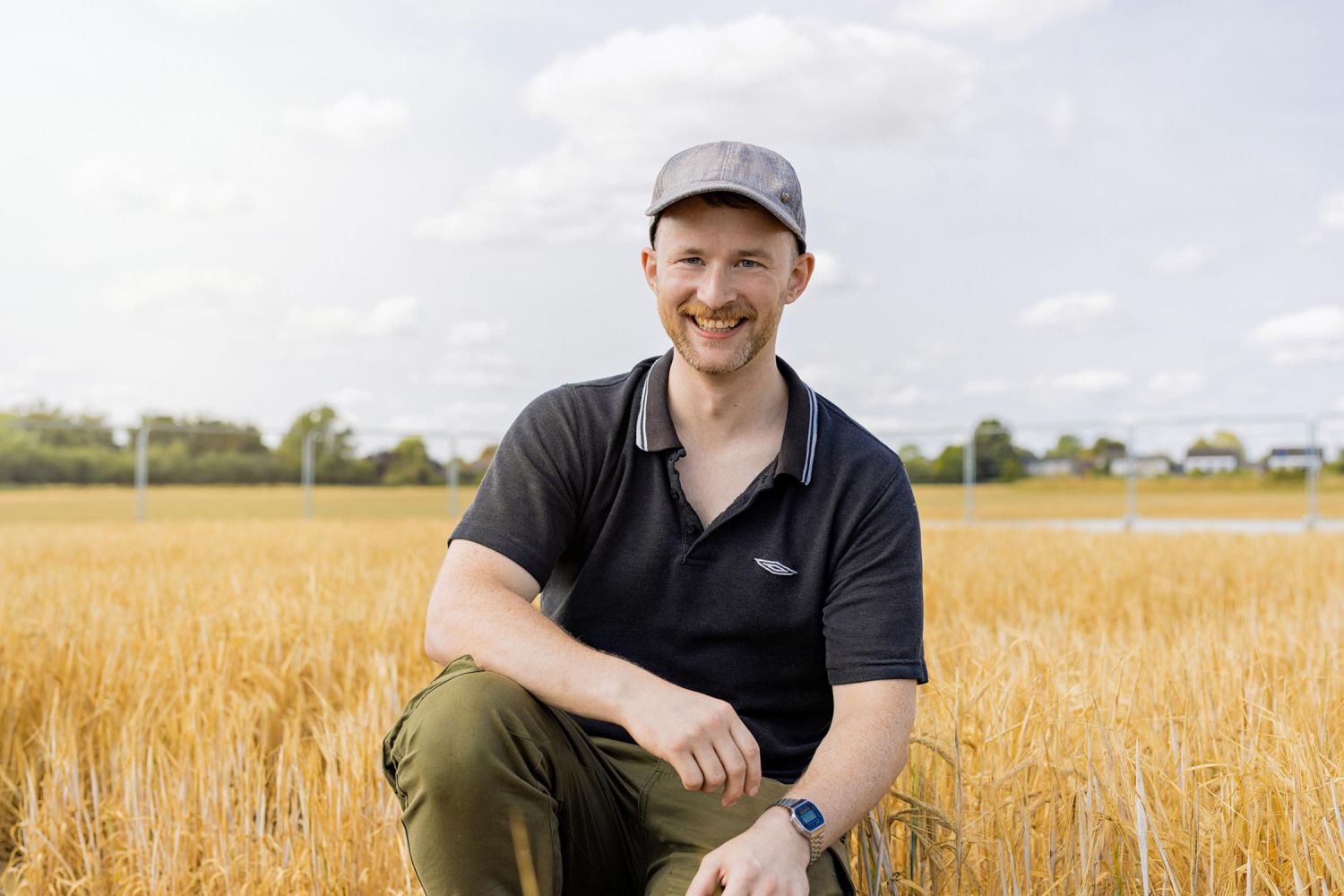Crop Science Centre has planted a field trial of genetically modified ...