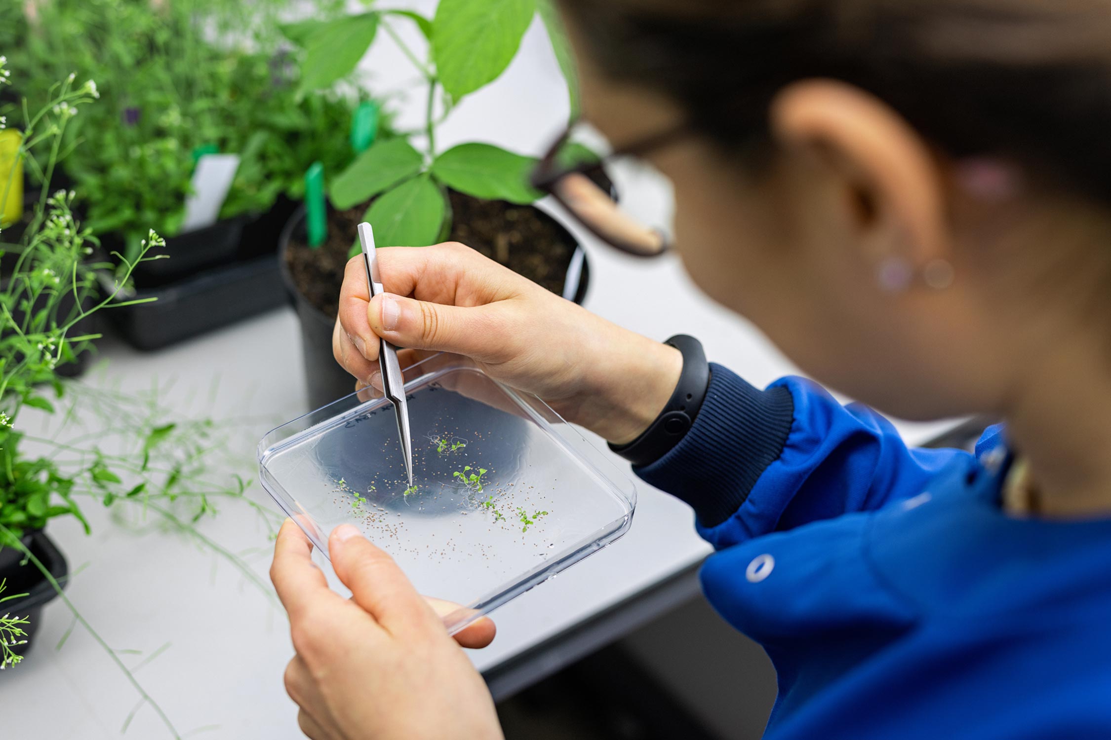 Media Gallery | Crop Science Centre