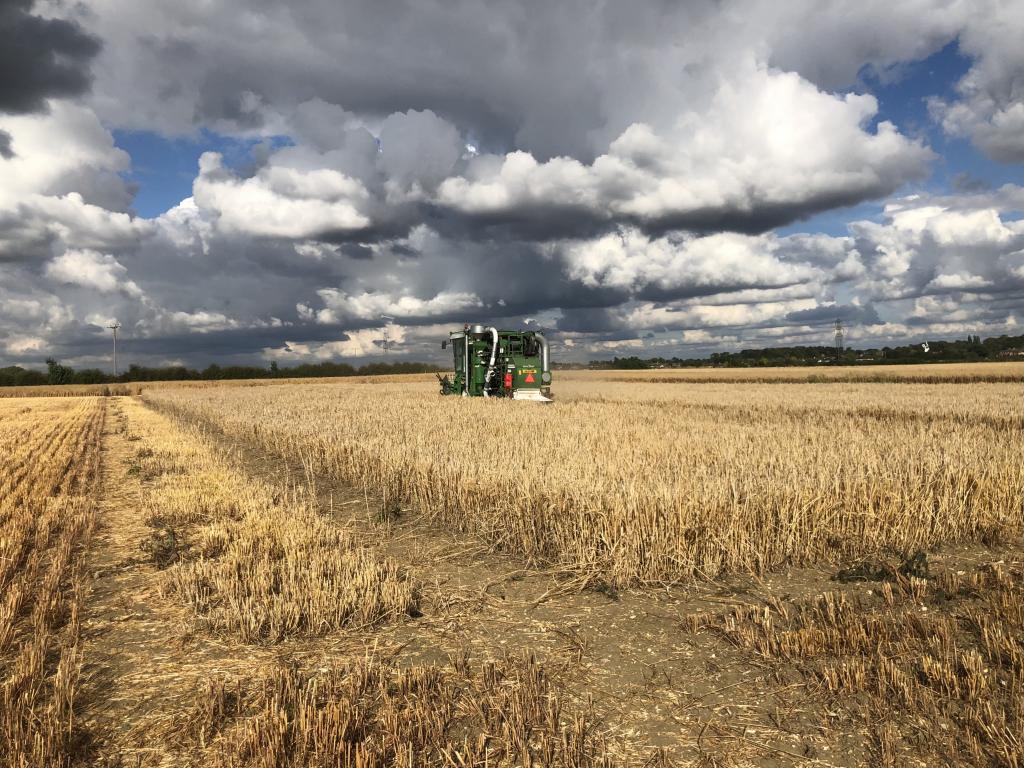 Frequently Asked Questions about GM field trials | Crop Science Centre